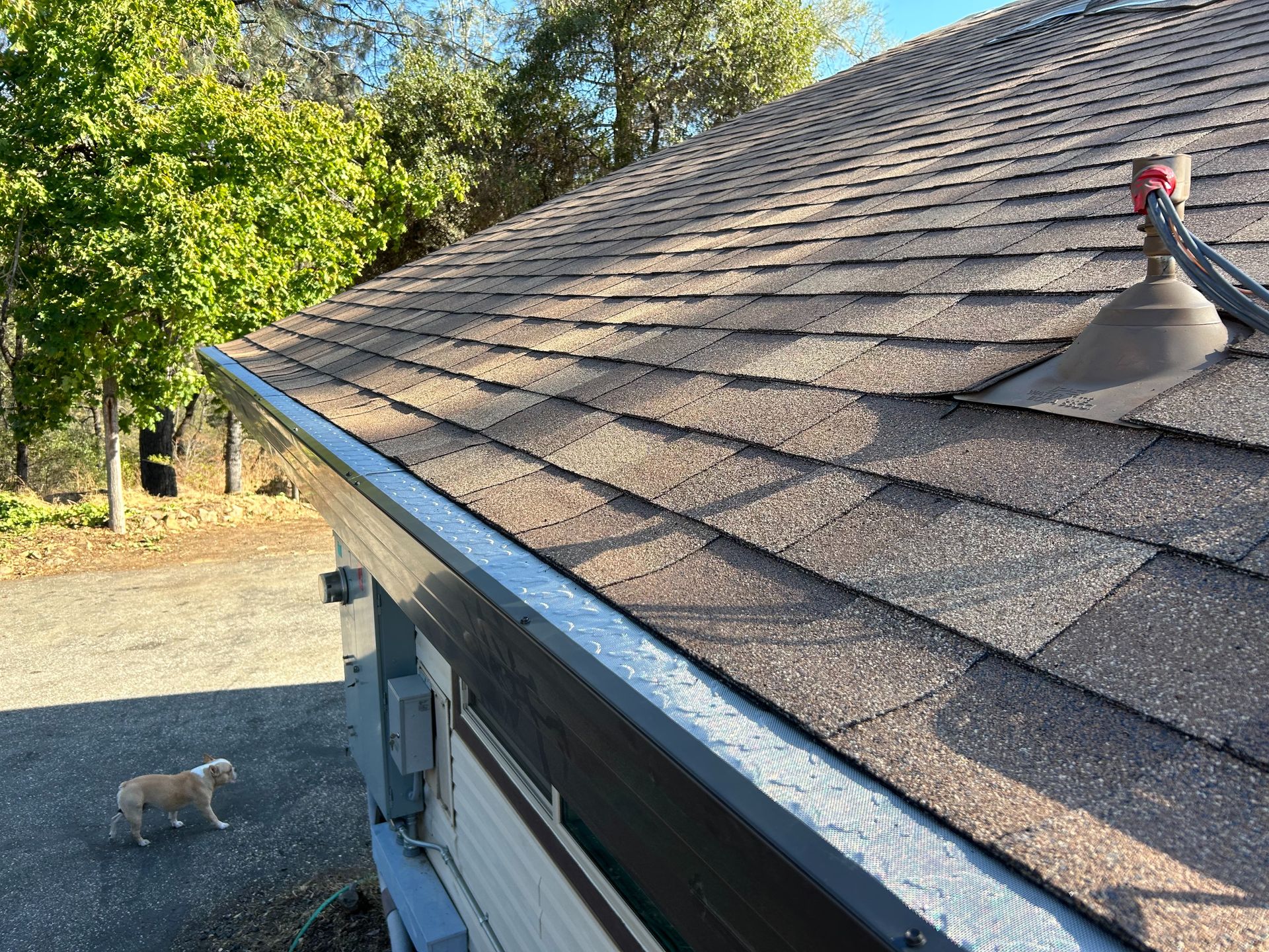 Fire Safety and Fire Protection Materials | Colfax, CA | 530-878-6700