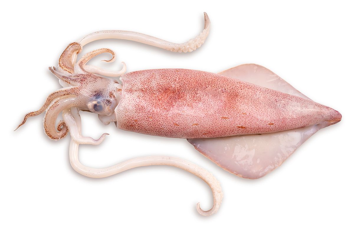 Captree Clam Seafood Products | West Babylon, NY