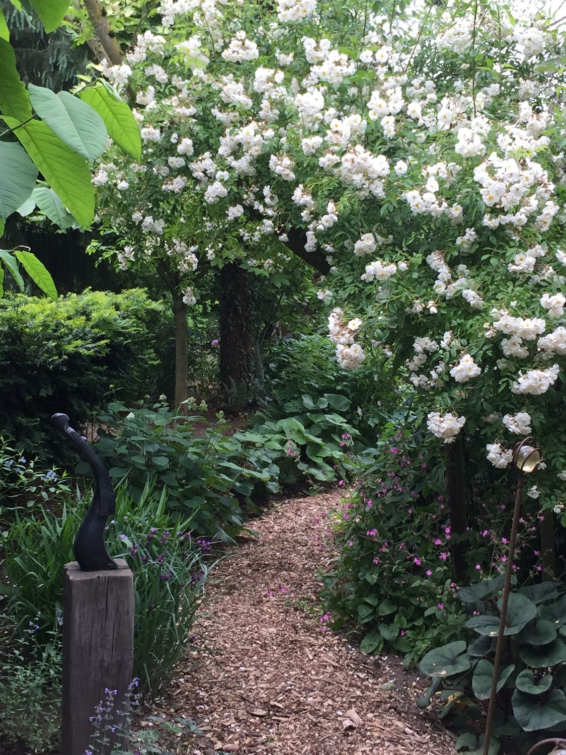 De Verborgen Tuin | Impressie