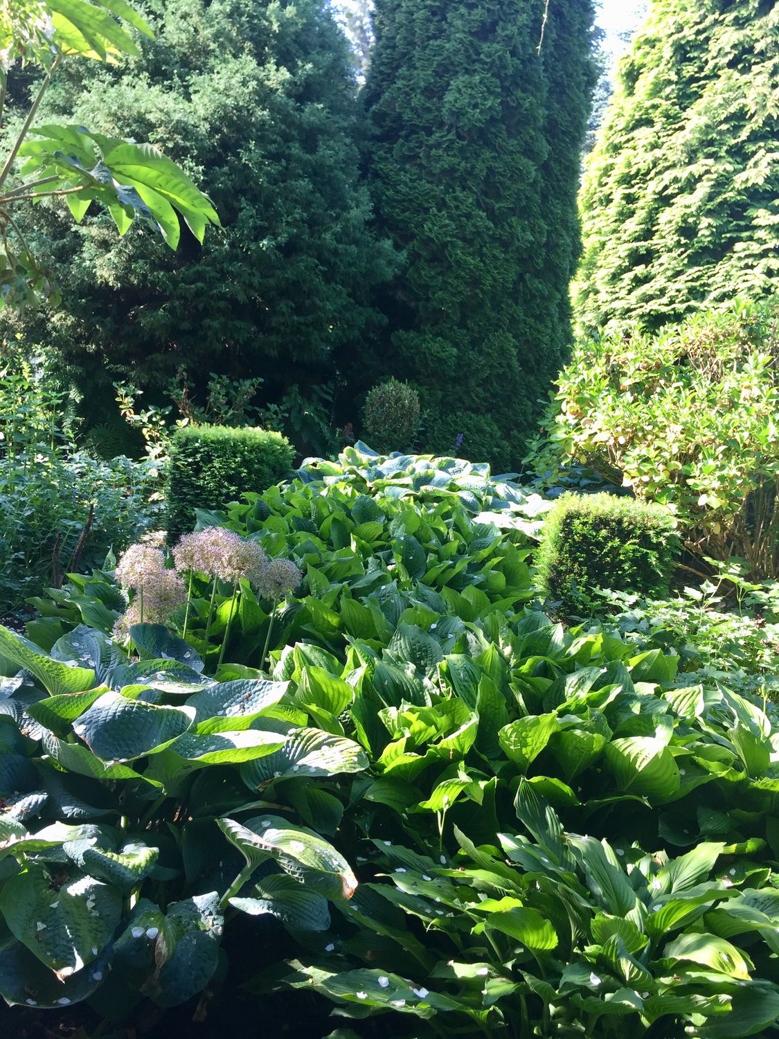 De Verborgen Tuin | Impressie