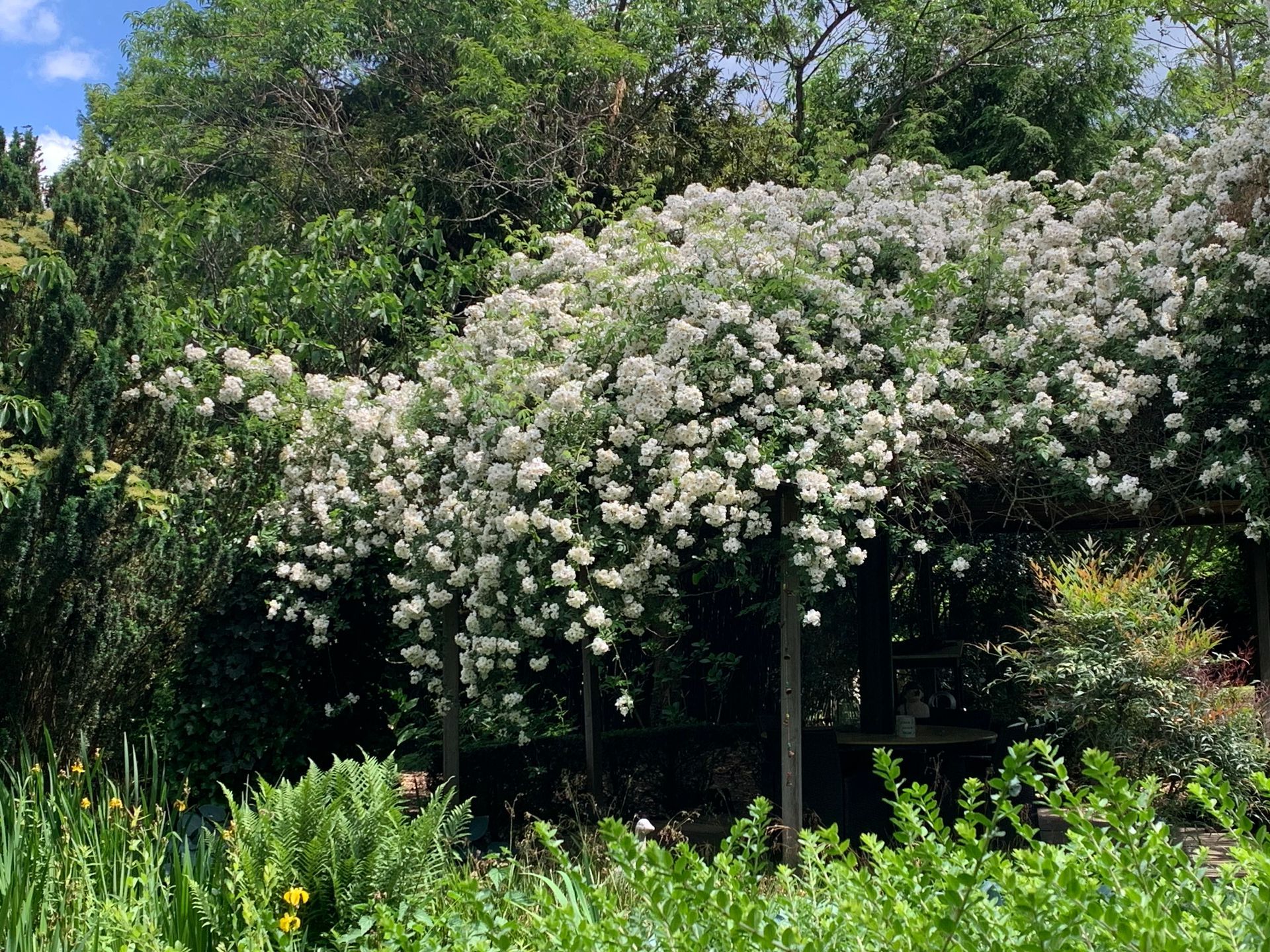 De Verborgen Tuin | Impressie