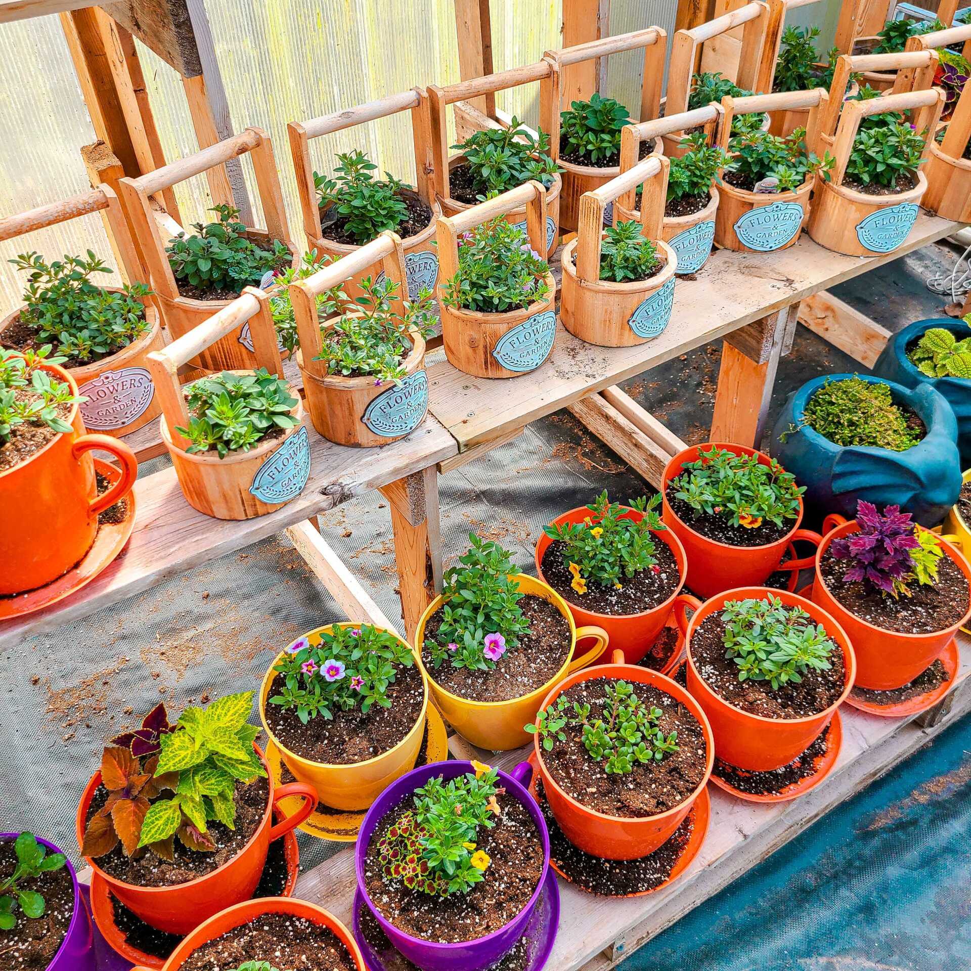 Greenhouse | The Berry Barn