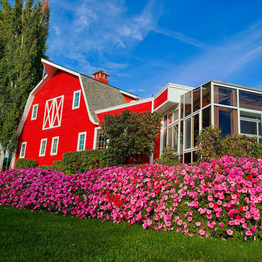 Attractions | The Berry Barn