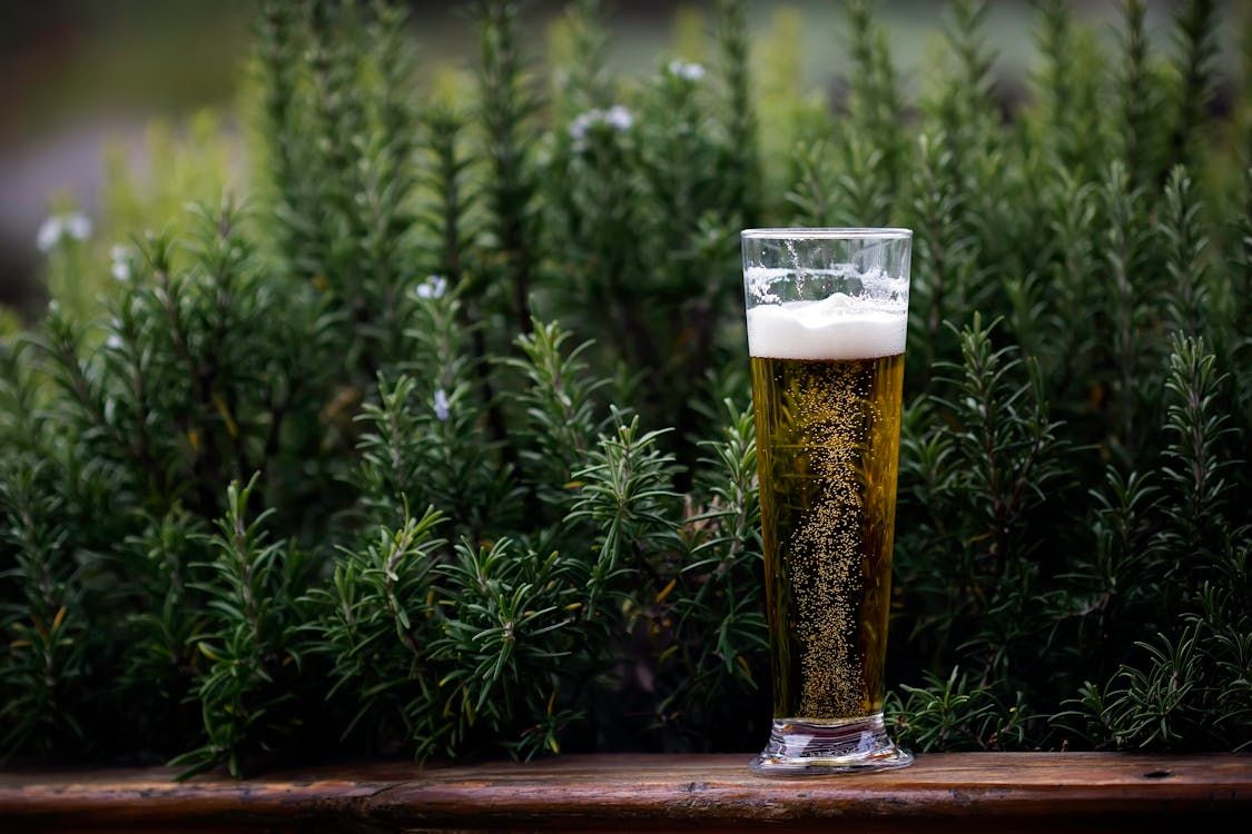 Gallery | Torque Brewing