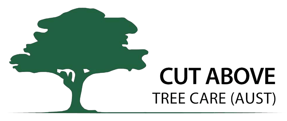 Contact Us Cut Above Tree Care