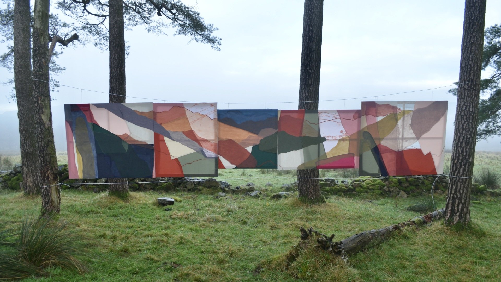 Siobhan McLaughlin's Exhibition History