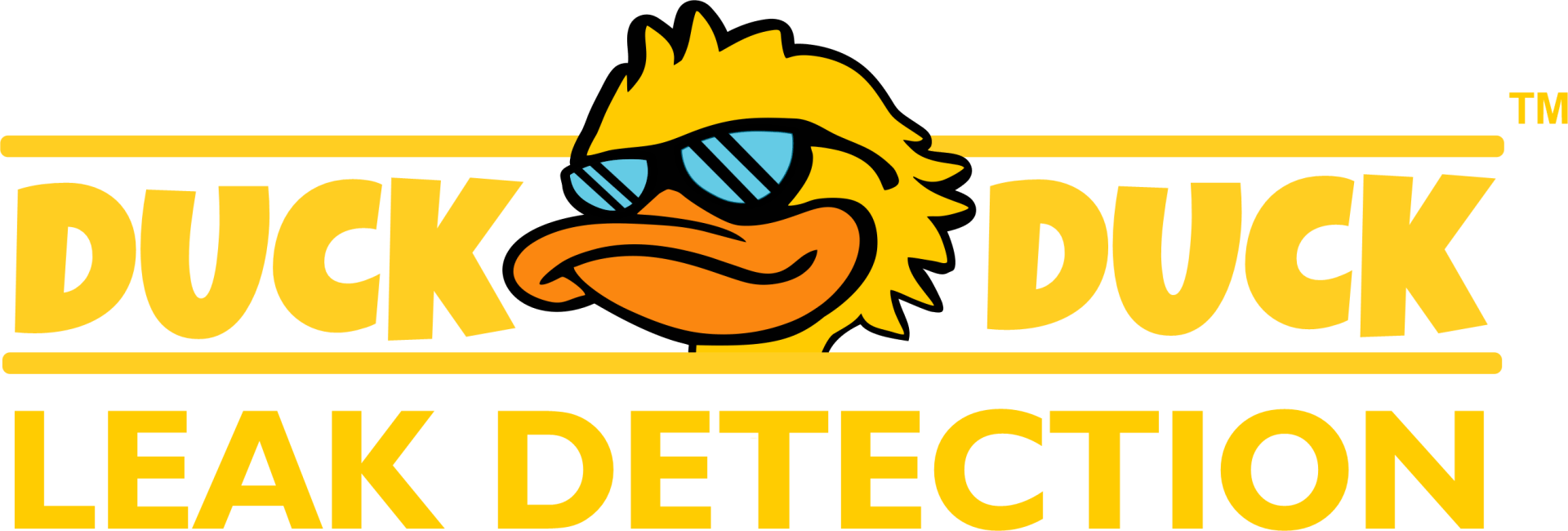 Duck Duck Leak Detection