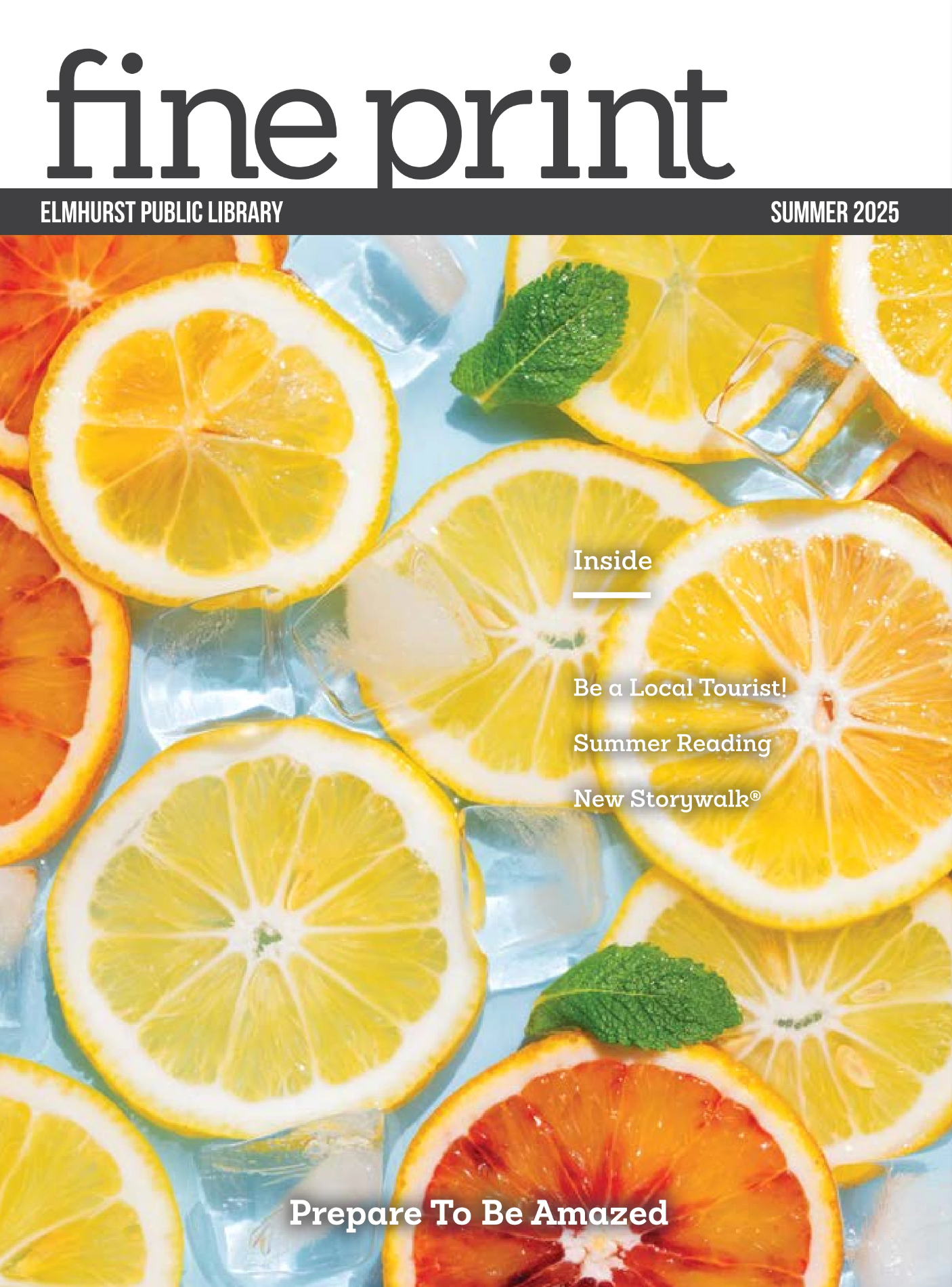 Fine Print - All Issues