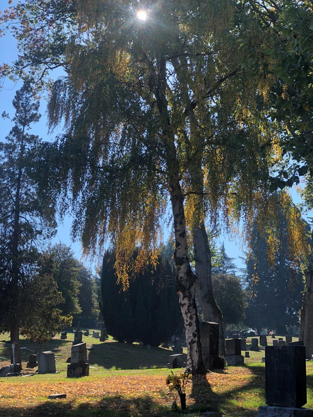 Mt. Pleasant Cemetery | Honoring Memories | Seattle, WA