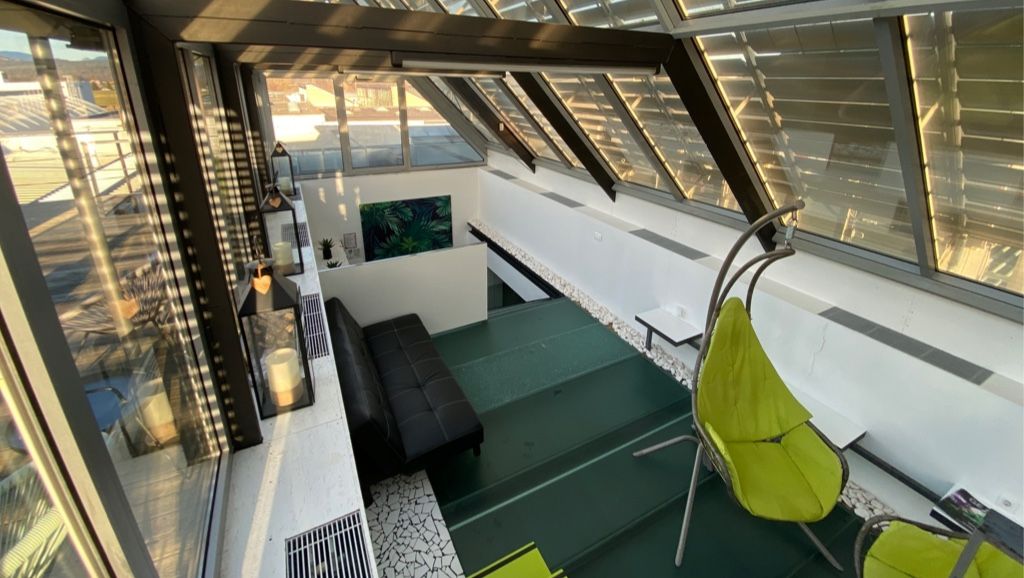 LA MONTA DELLE VACCHE