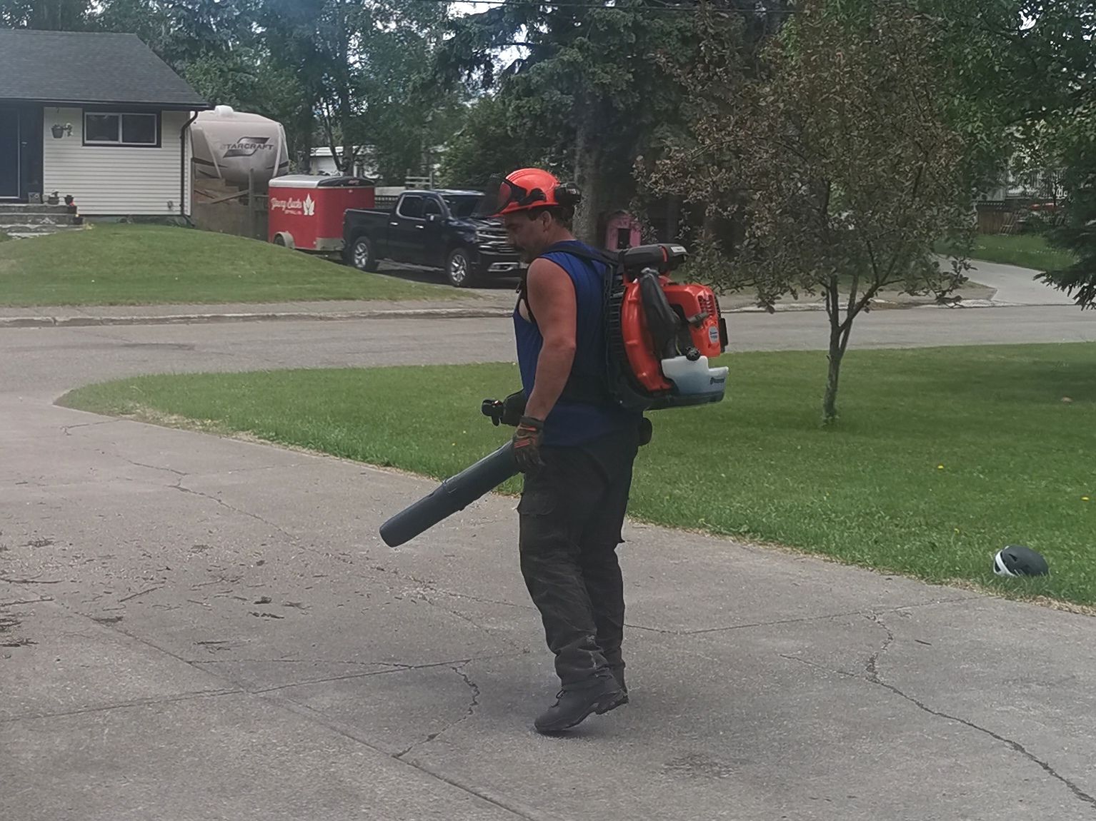 Professional Tree Removal Service Prince George - Tidy Timbers