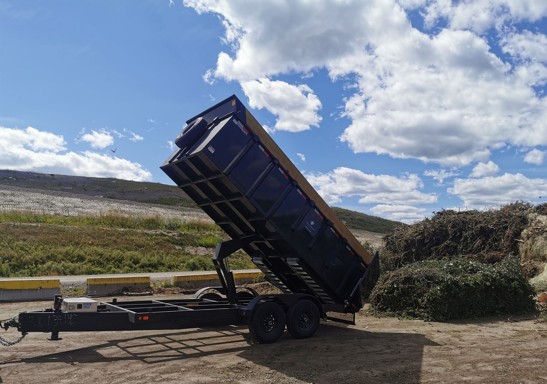 Professional Tree Removal Service Prince George - Tidy Timbers