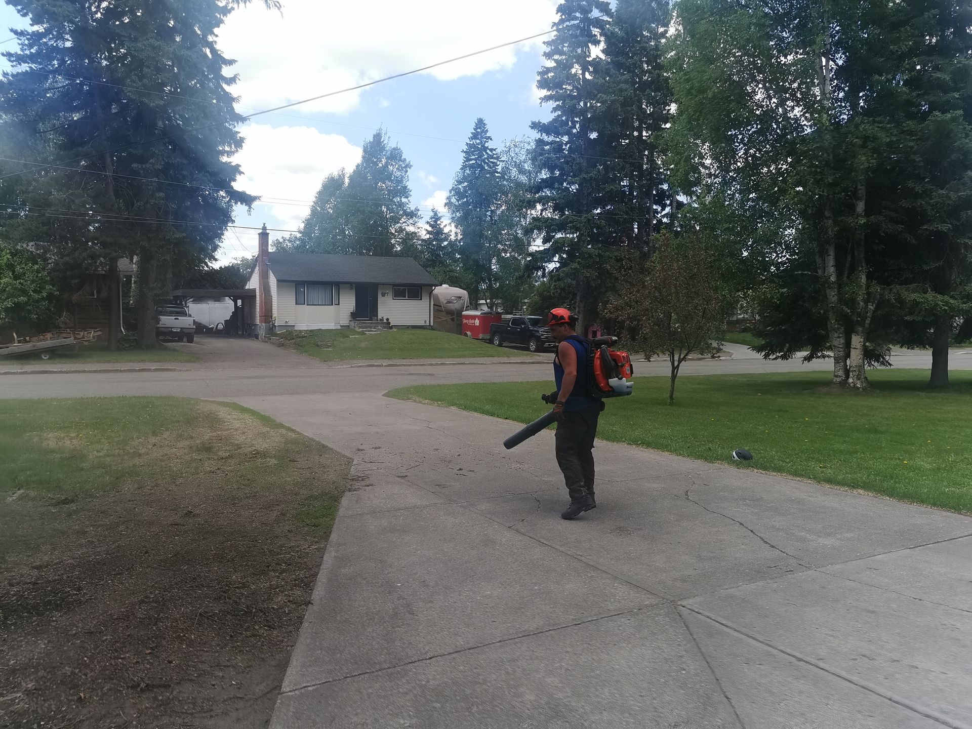 Stump grinding cleanup