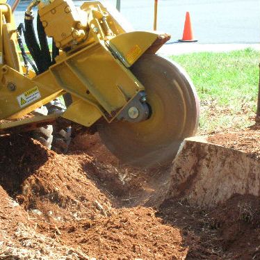 Professional stump removal Prince George
