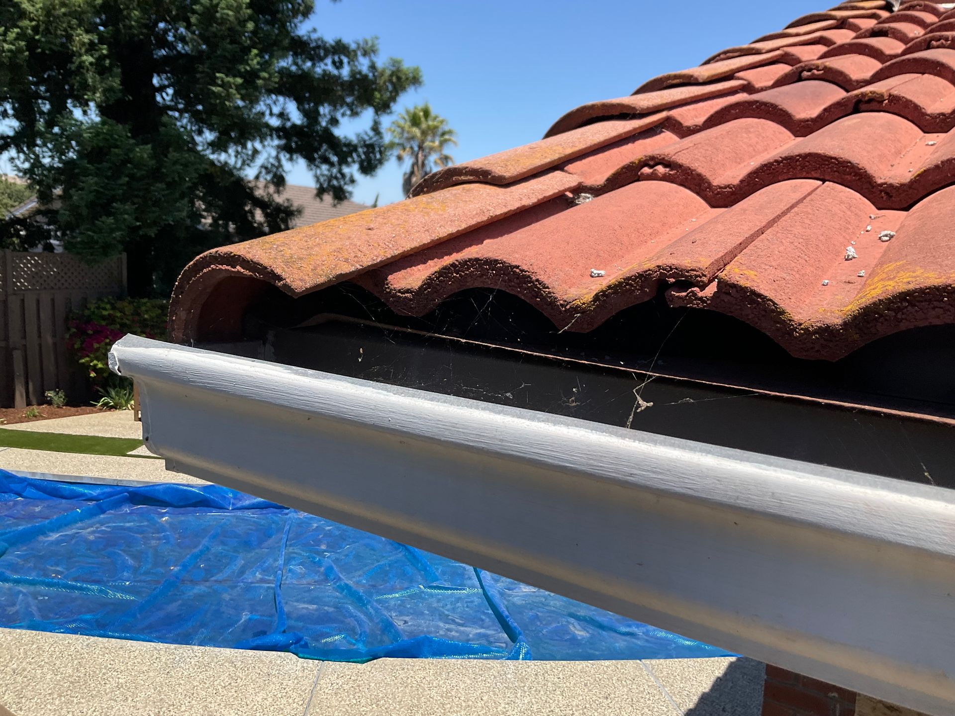 Gallery | San Francisco, California | Gutter City