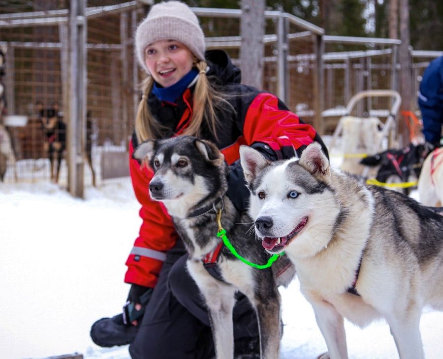 Husky Safari Levi 2025-2026 from 125€