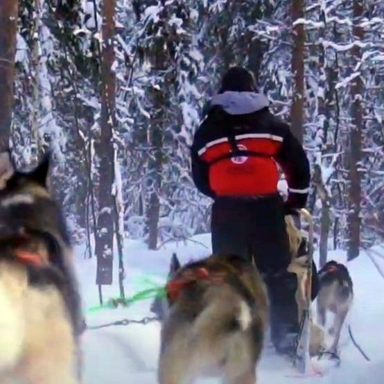 Husky Safari Levi Finland 2024-2025