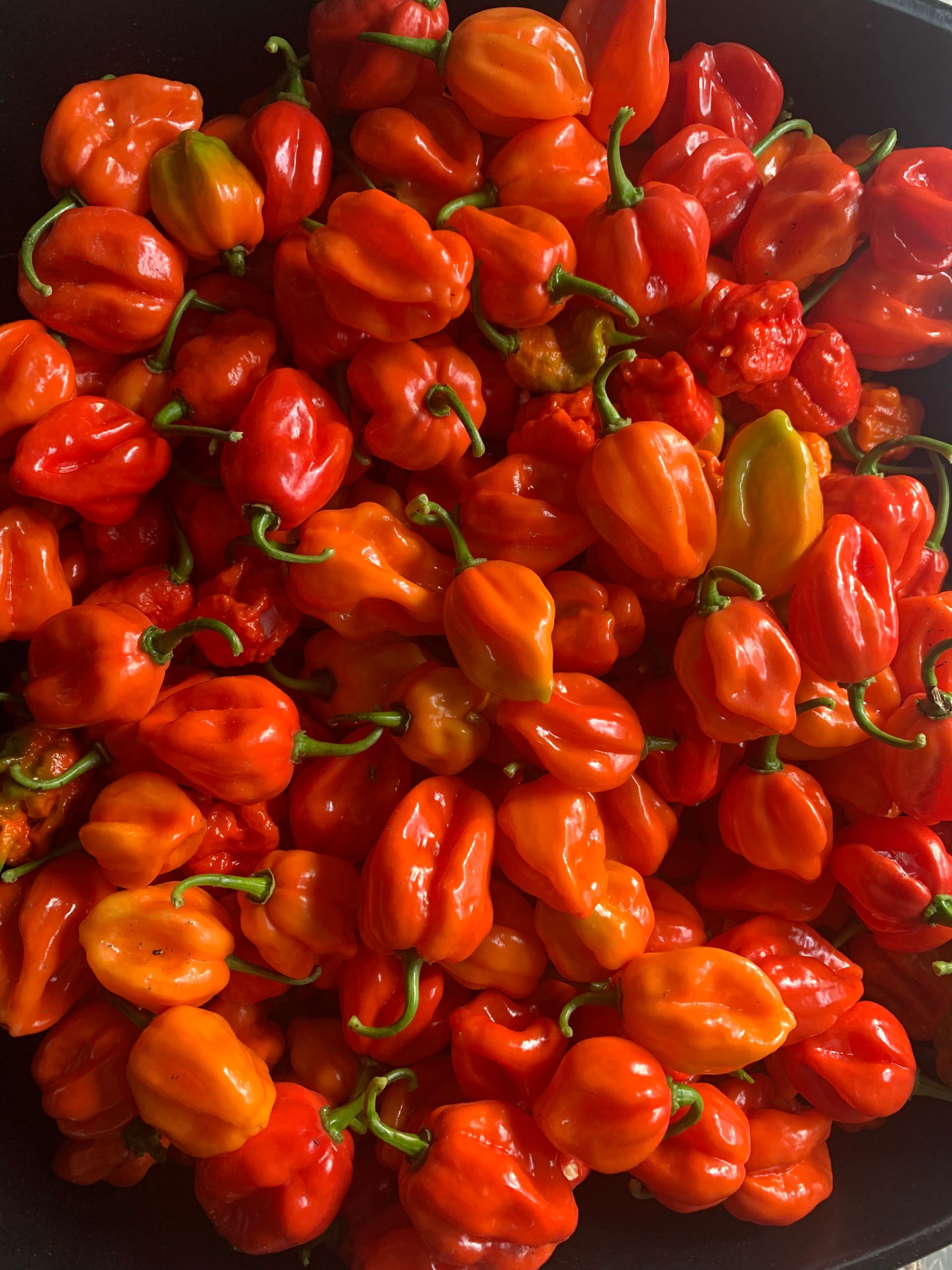 Marché Mokolo - Produits Alimentaires Africains de Qualité