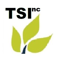 How to Spot Tree Damage After a Cold Snap