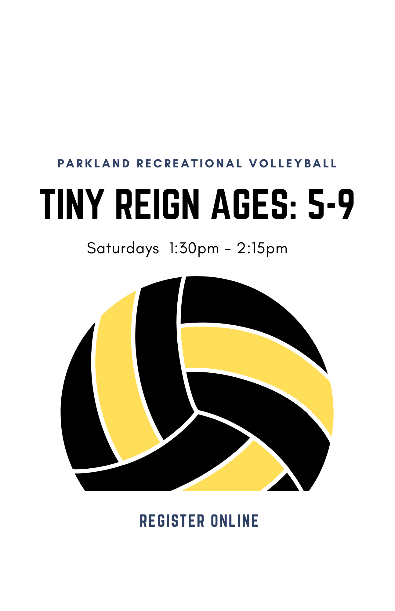 Volleyball Classes in Parkland