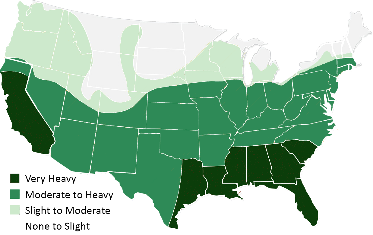 Pest Control & Wildlife Removal | Roanoke, VA