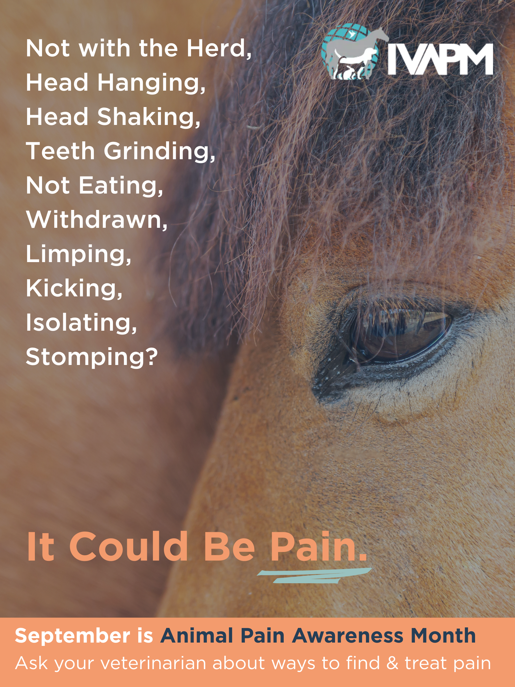 2025 Animal Pain Awareness Month Toolbox