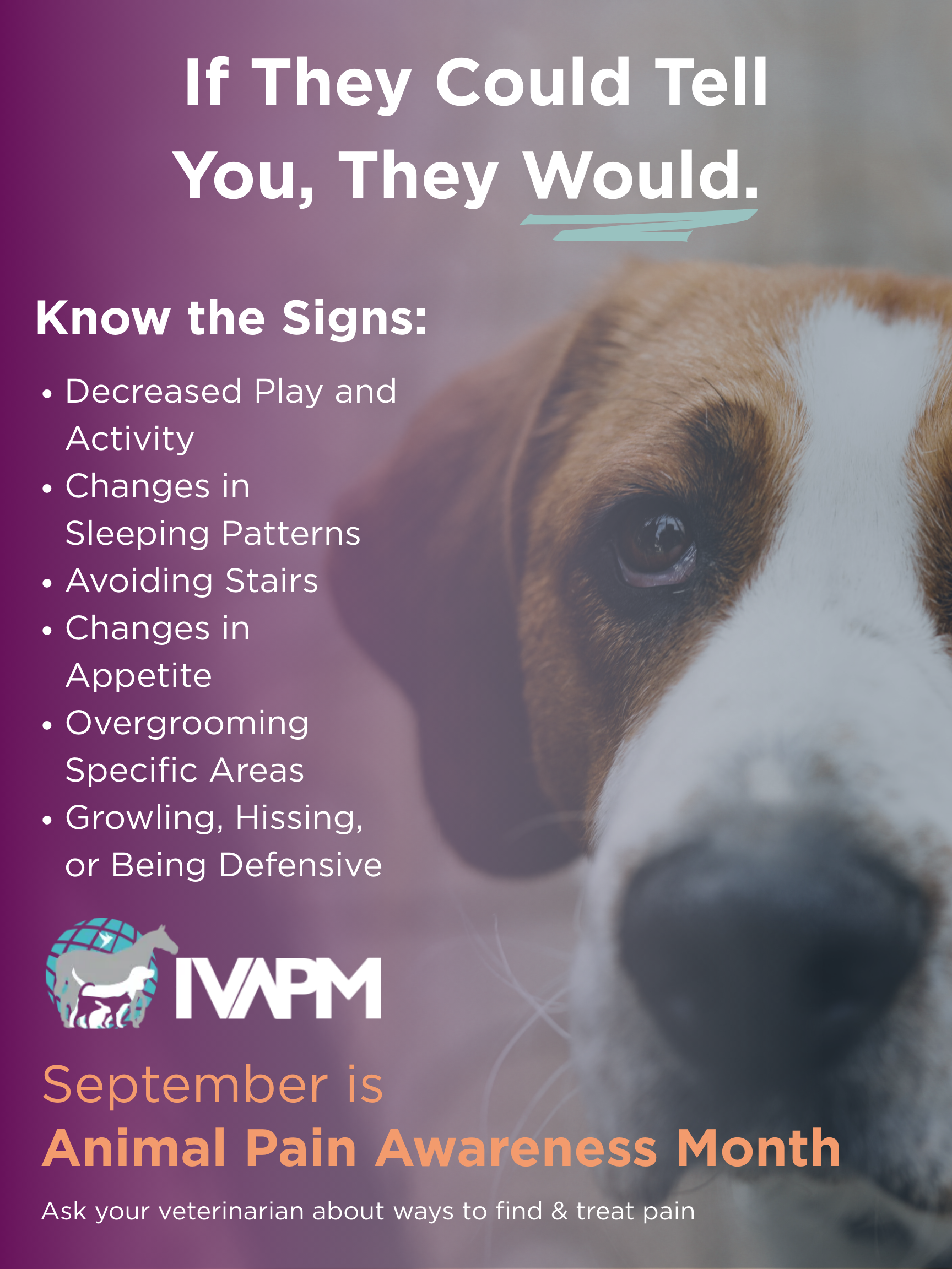 2025 Animal Pain Awareness Month Toolbox