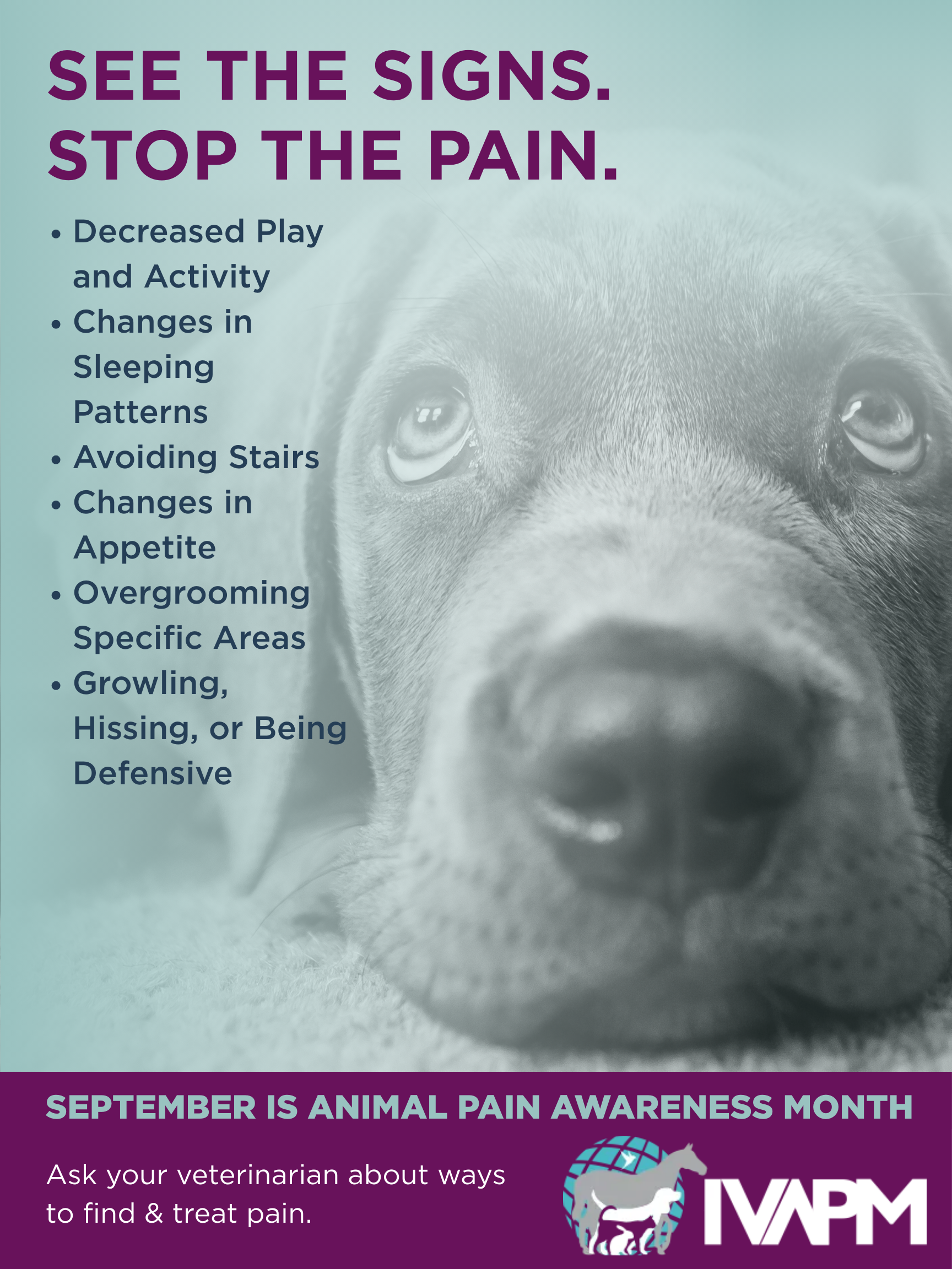 2025 Animal Pain Awareness Month Toolbox
