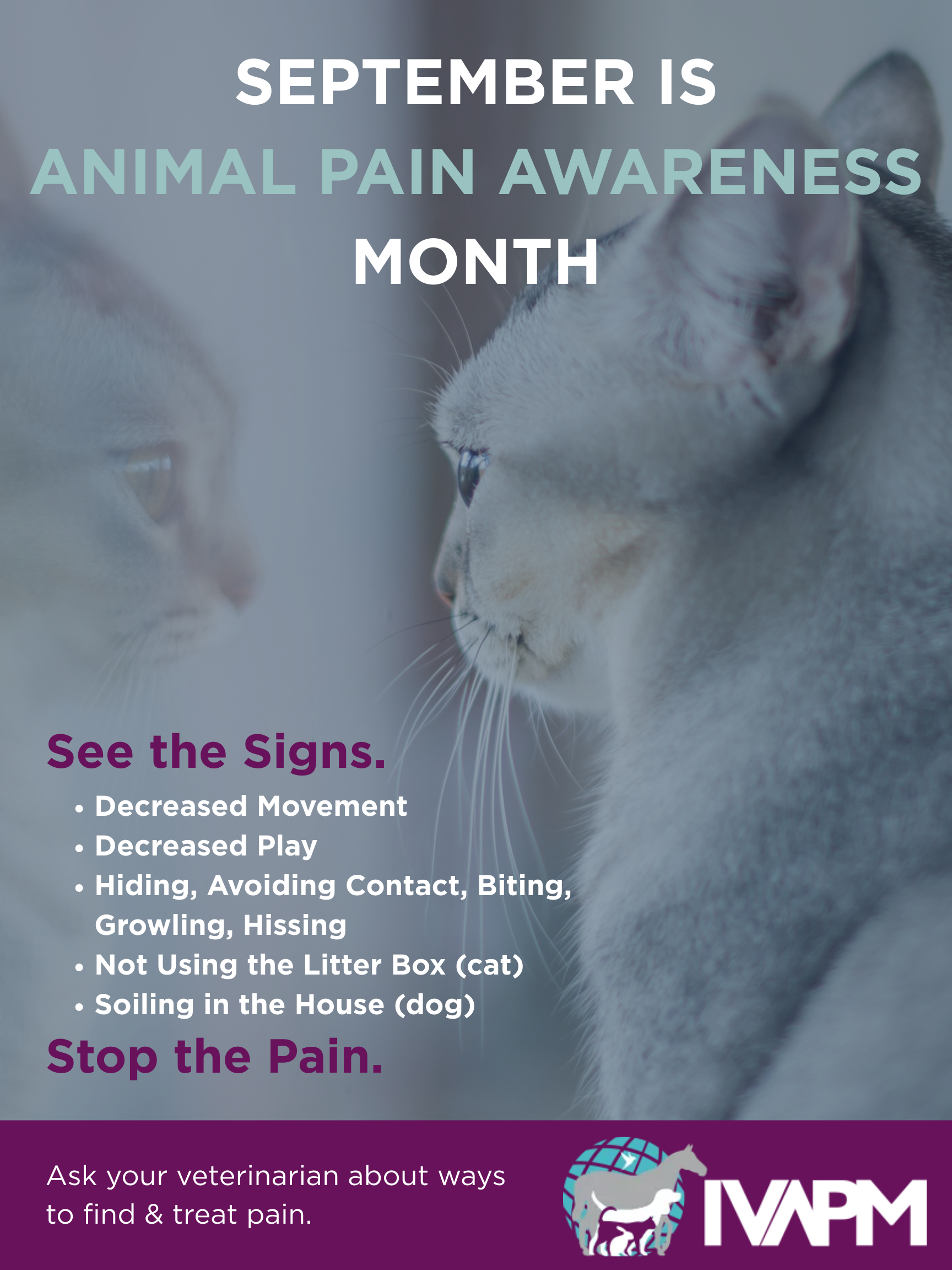 2025 Animal Pain Awareness Month Toolbox