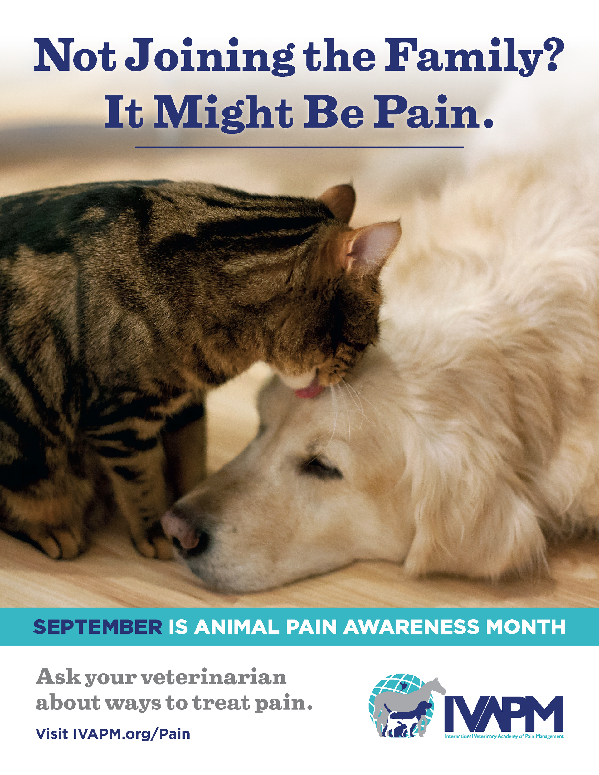 Animal Pain Awareness Month Toolbox