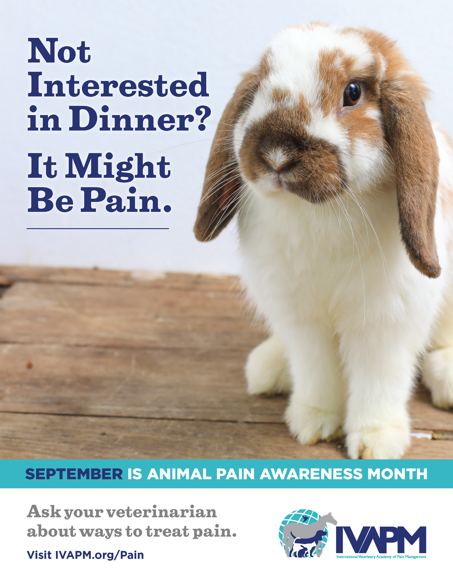 Animal Pain Awareness Month Toolbox