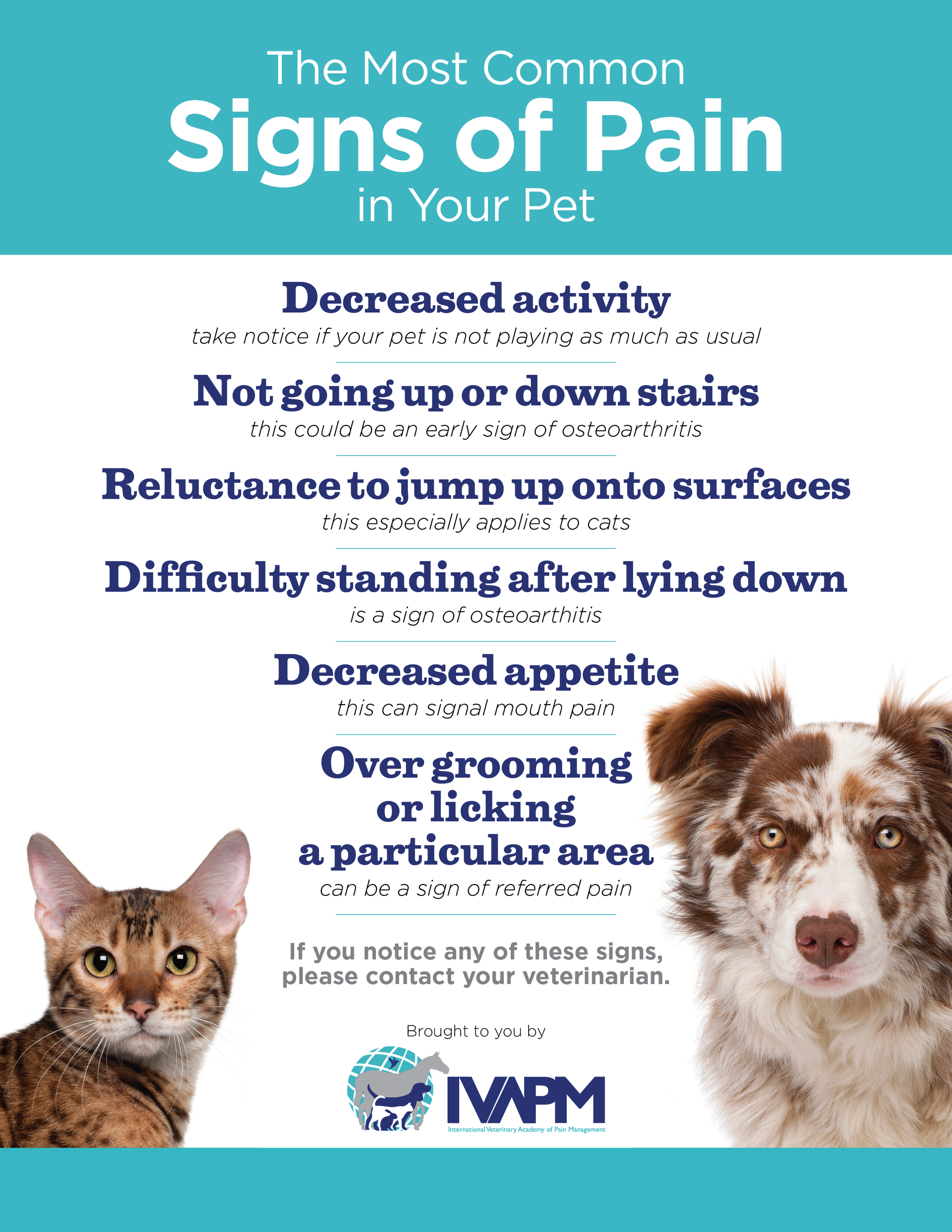 2025 Animal Pain Awareness Month Toolbox