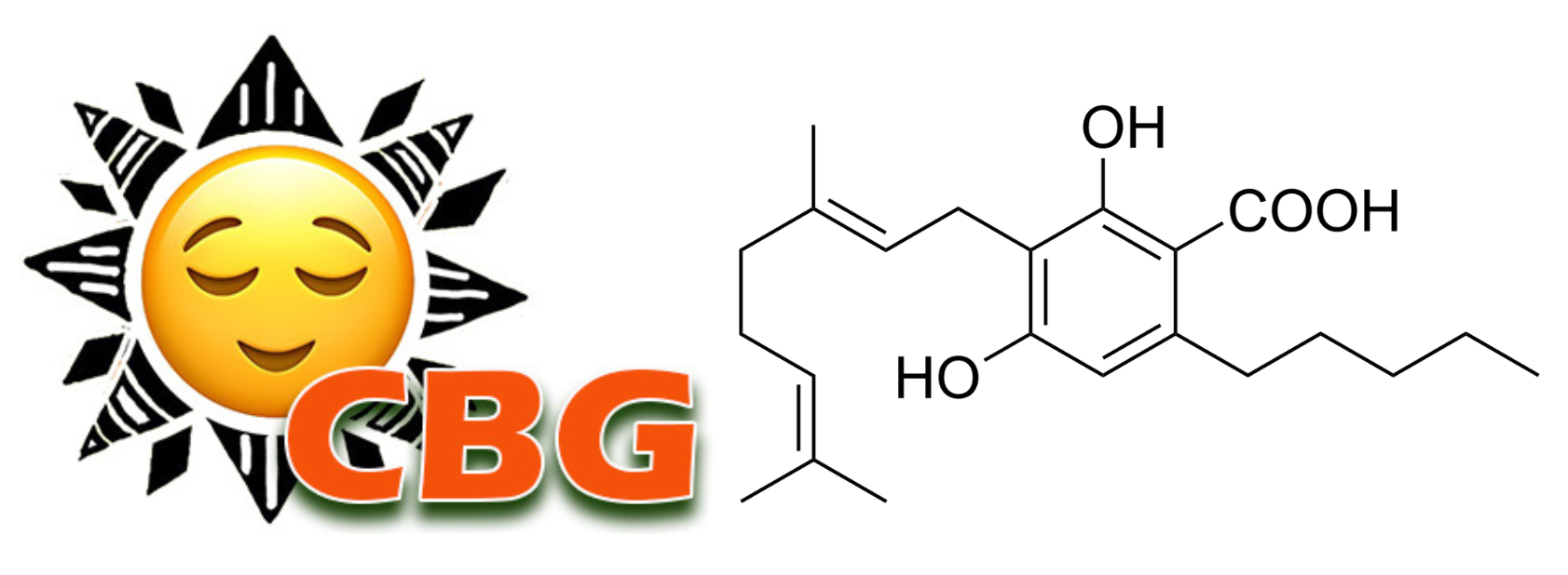 CBG Products | The Sun Spot CBD | SF