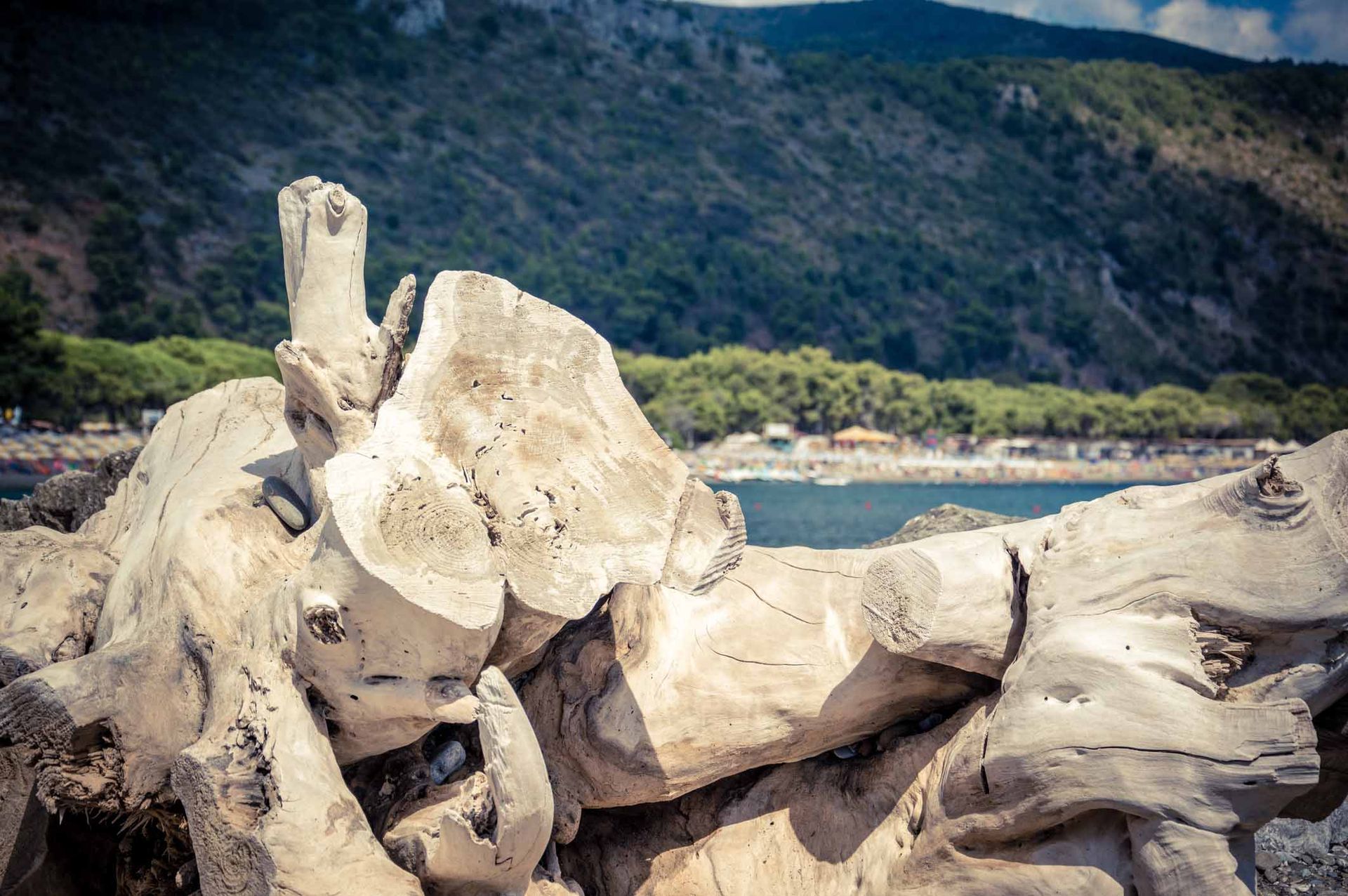 Escursioni in barca | Agropoli, SA | Sea Sun Cilento