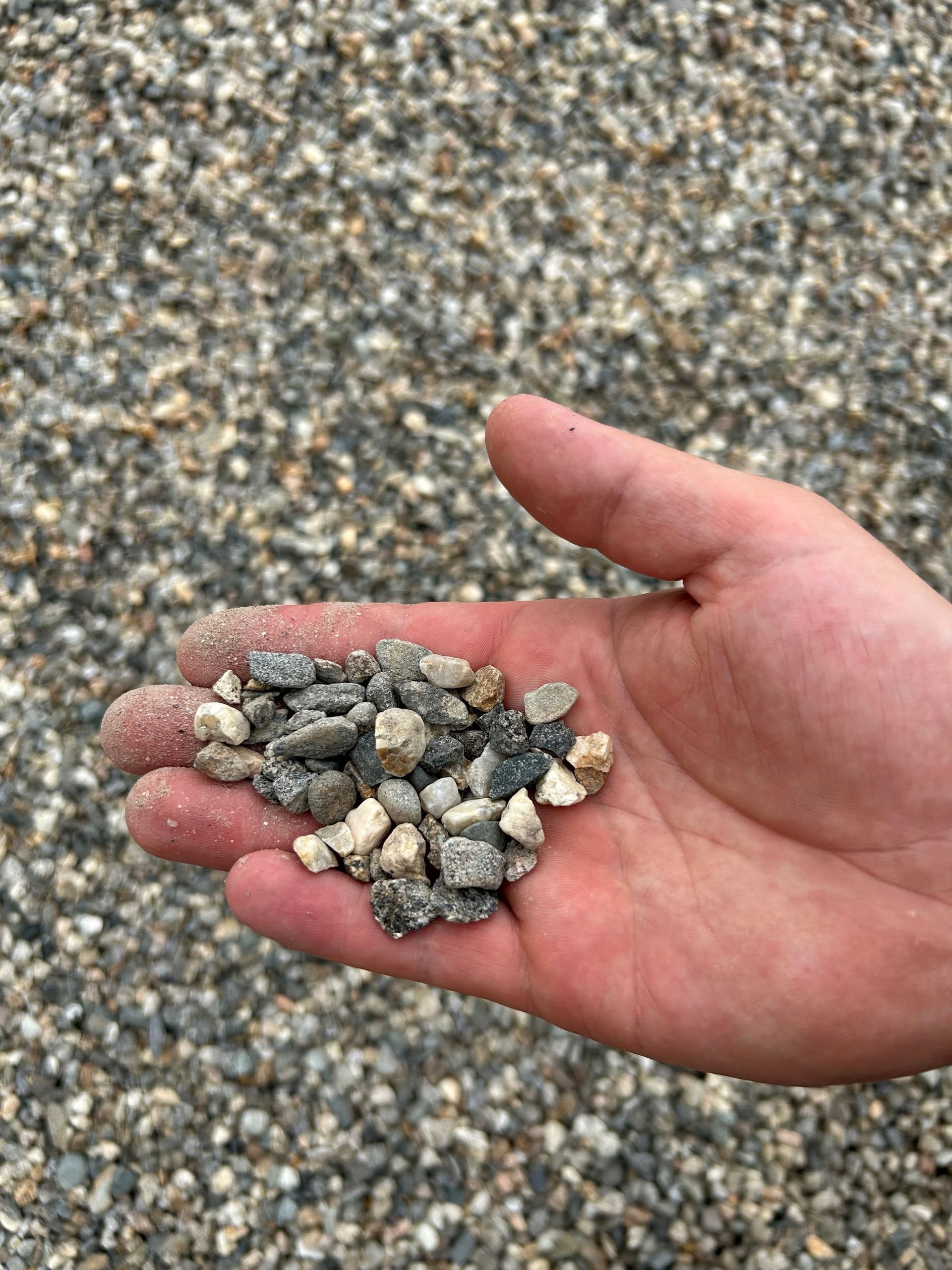 Landscape and Aggregate Delivery | Cape Elizabeth, ME | L.P. Murray ...