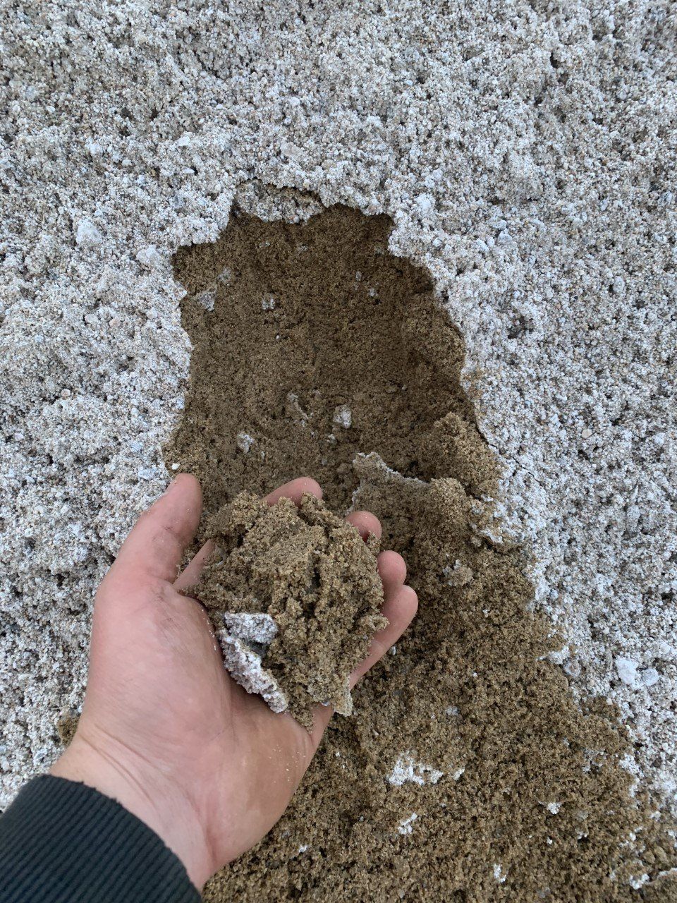 Landscape and Topsoil Delivery | Cape Elizabeth, ME | L.P. Murray ...