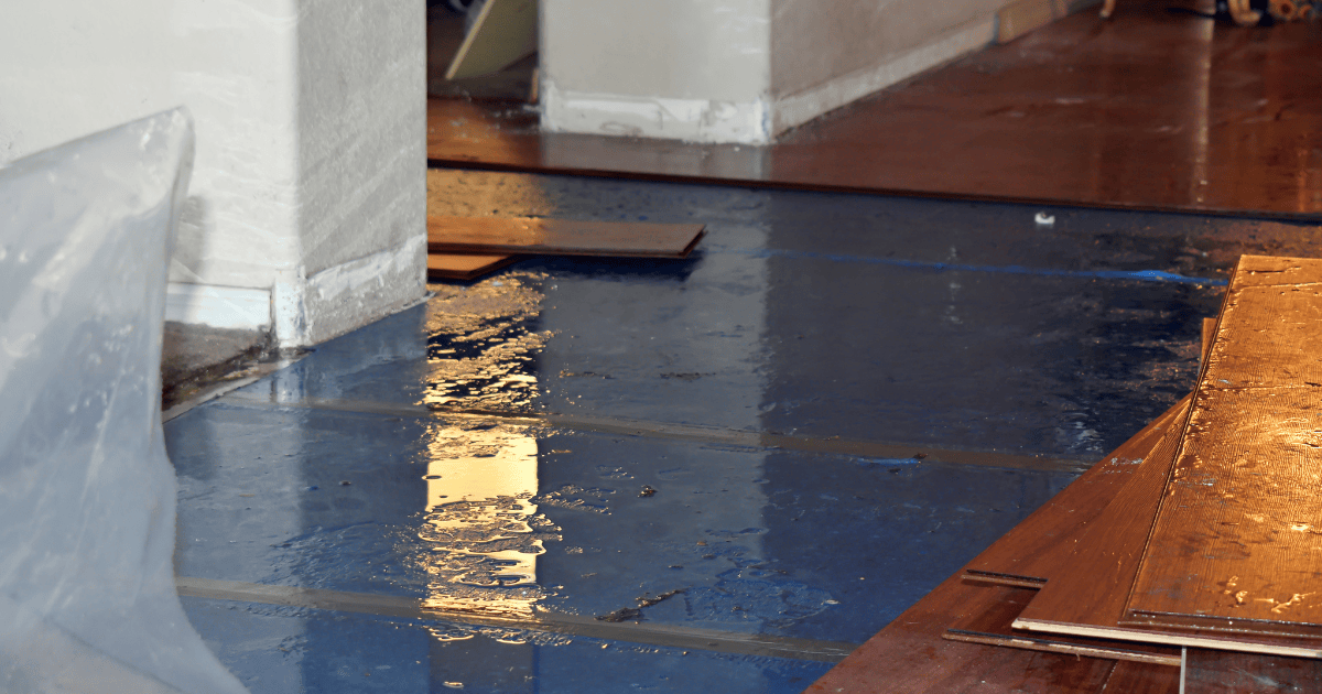 Different Types of Water Damage and How to Identify Them