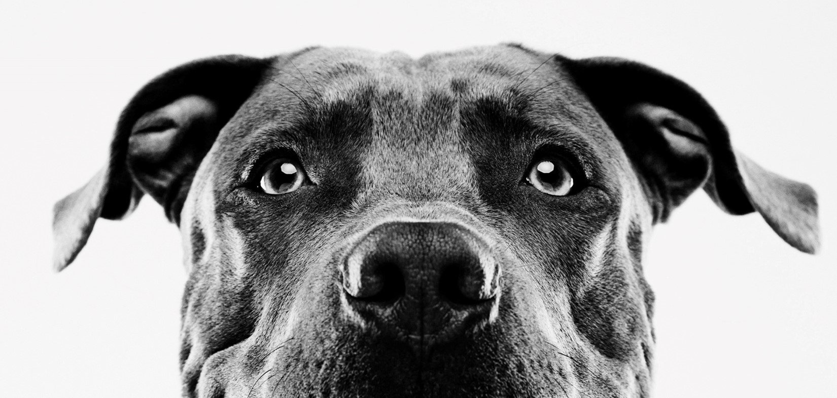 Supply and special imports