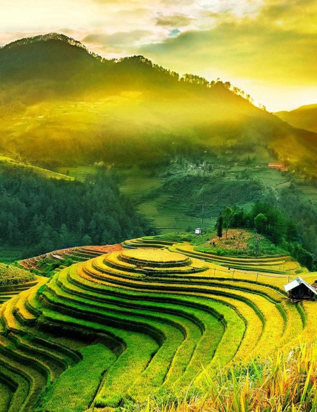 Da Nang With Kids: 13 Family Travel Tips & Activities