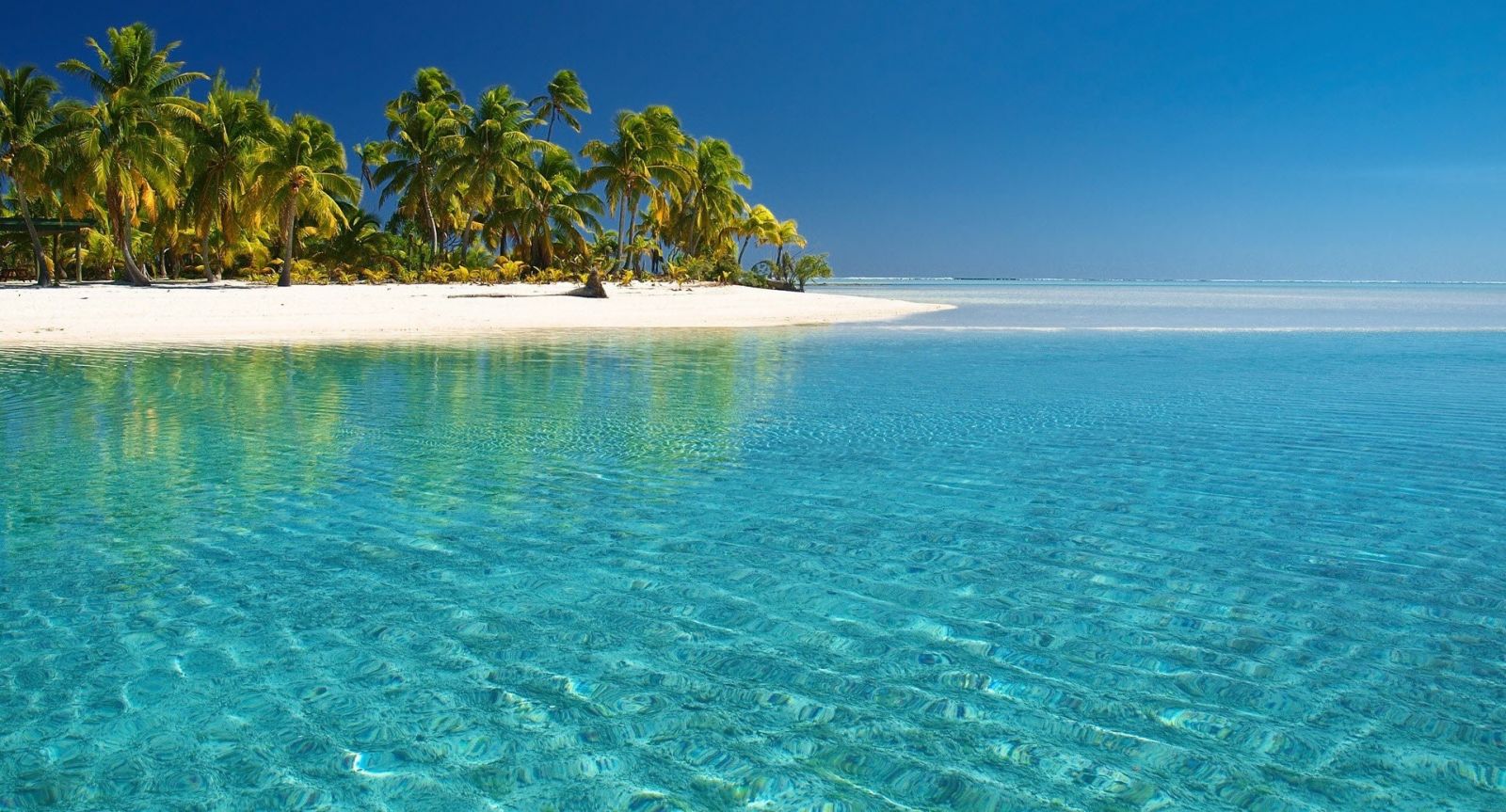 Top Vietnamese Festivals in Spring: A Cultural Guide