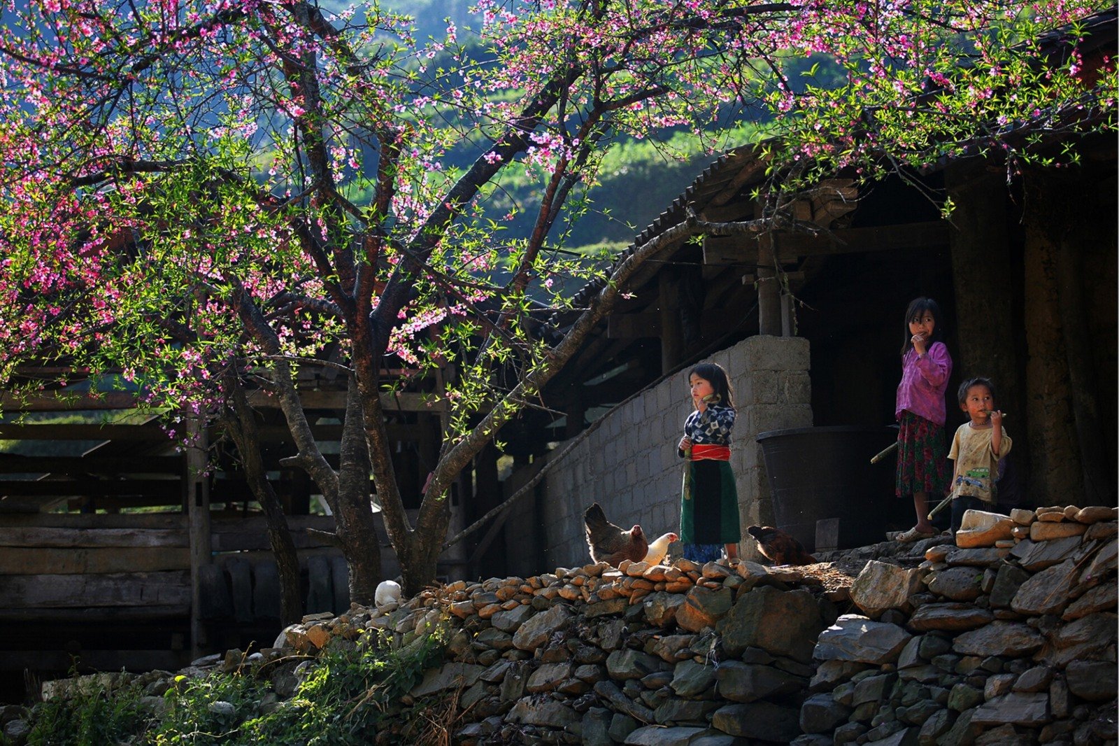 Da Nang With Kids: 13 Family Travel Tips & Activities