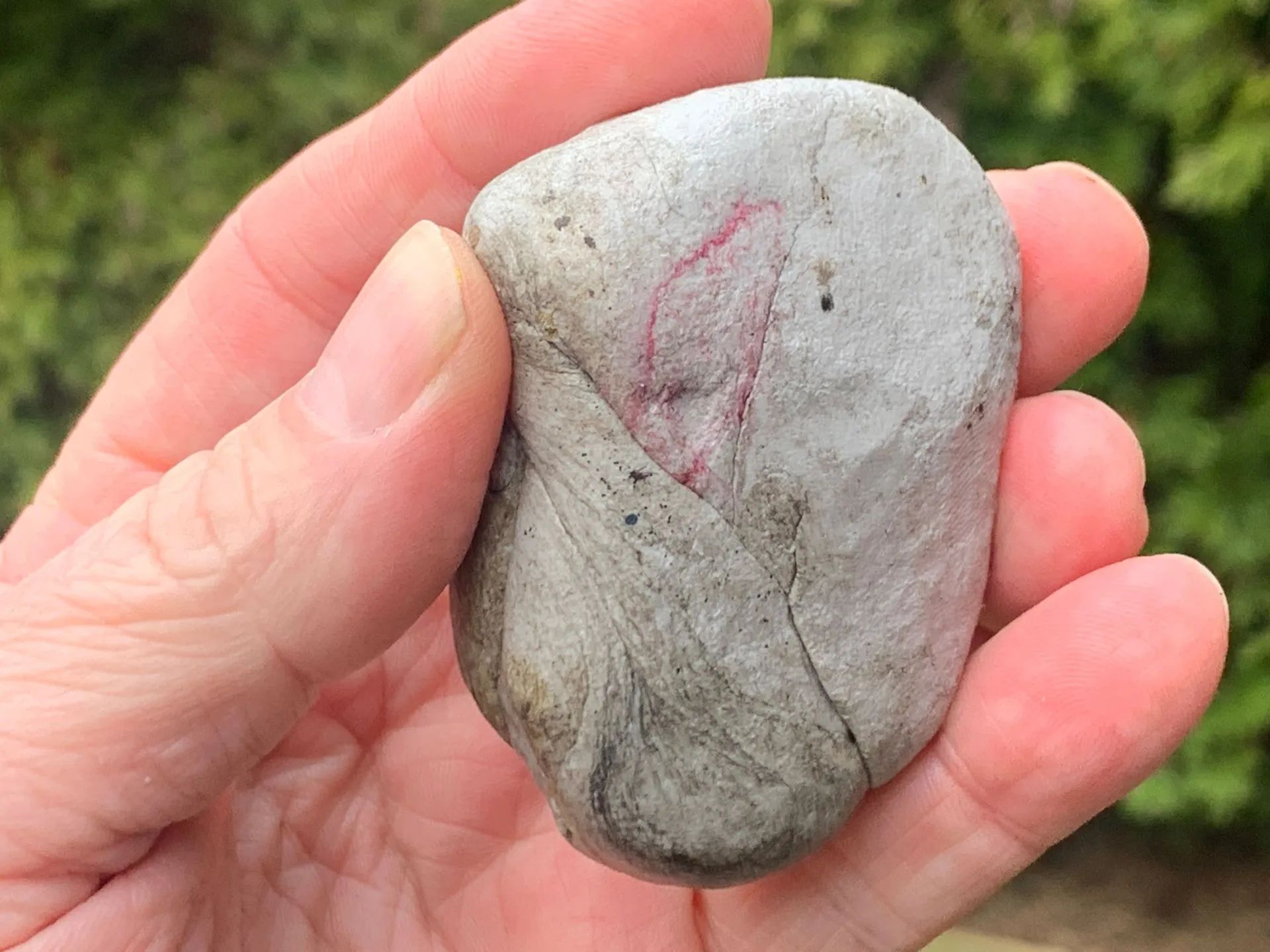 All about detailing clay bars | What are they and how to use clay ...