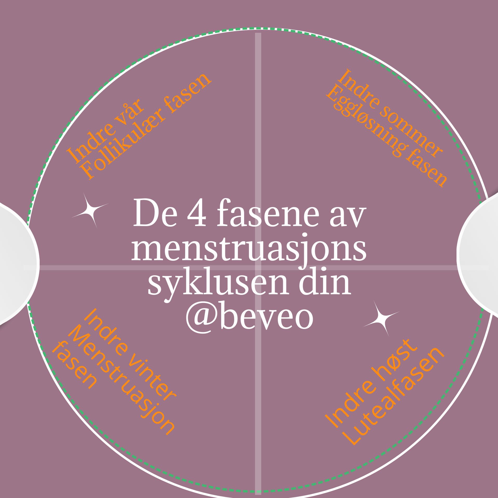 De 4 fasene i menstruasjonssyklusen