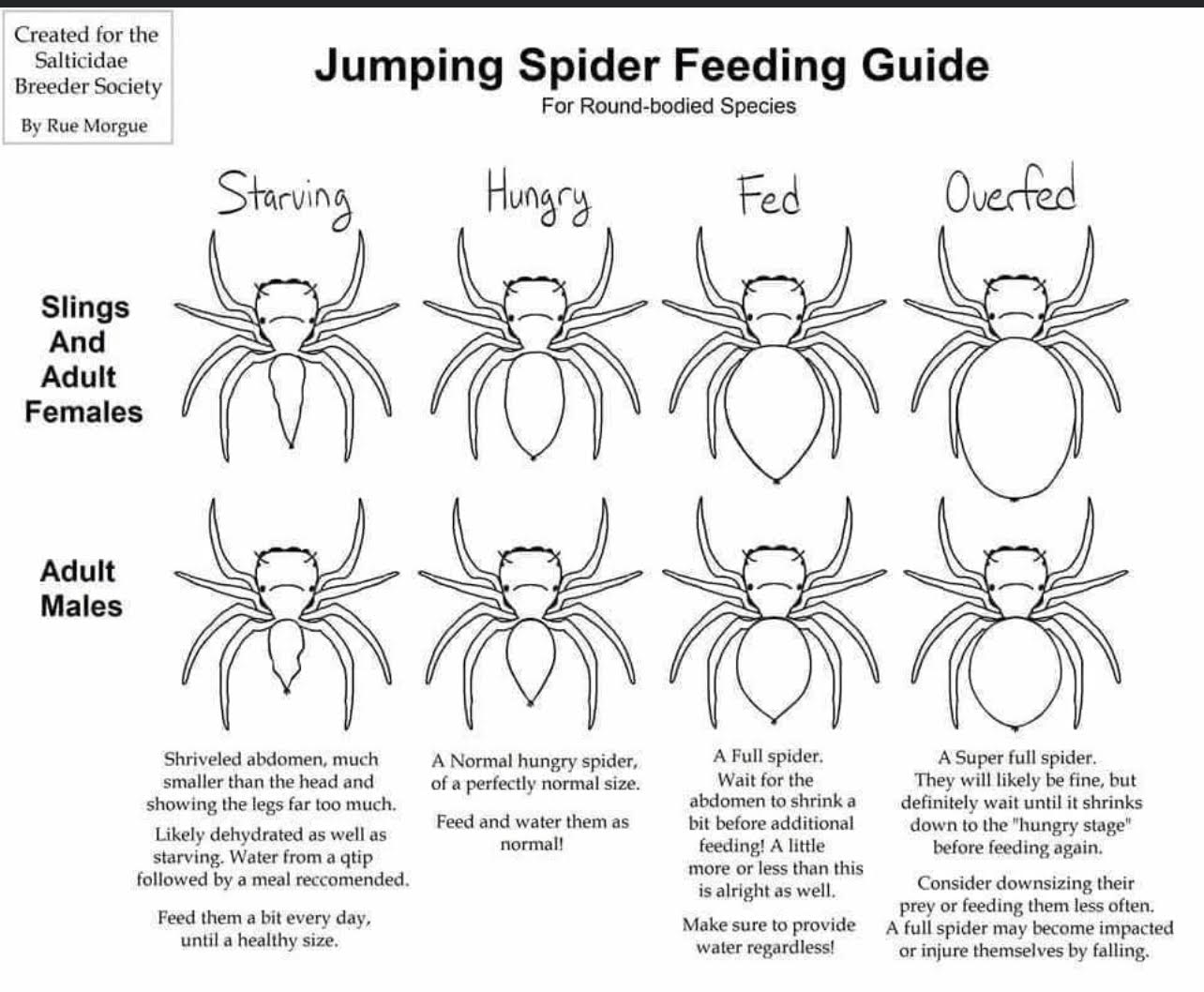 Basic & Intensive Care