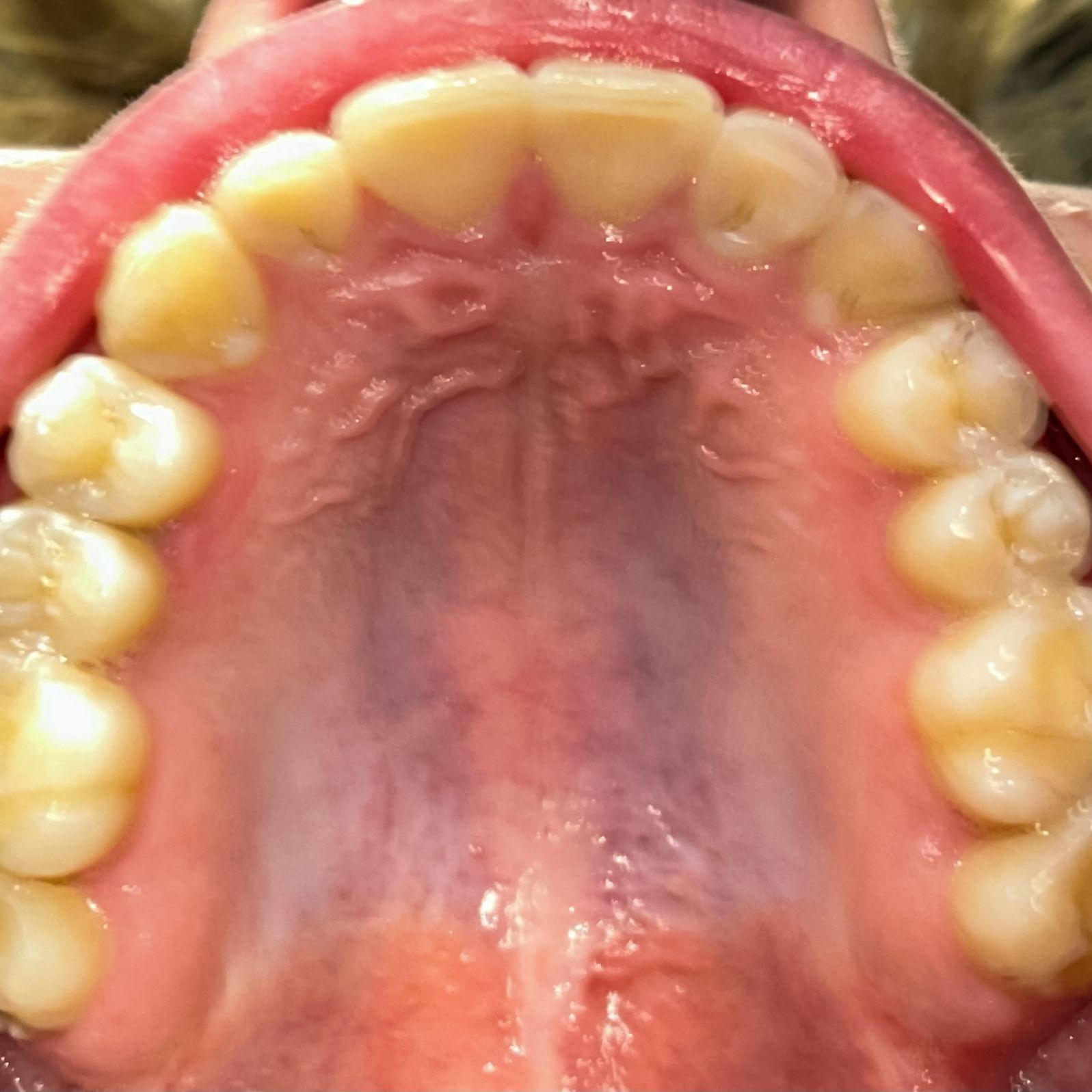 Vivos® DNA Appliance® Provider - mRNA Appliance® - Day And Night Device