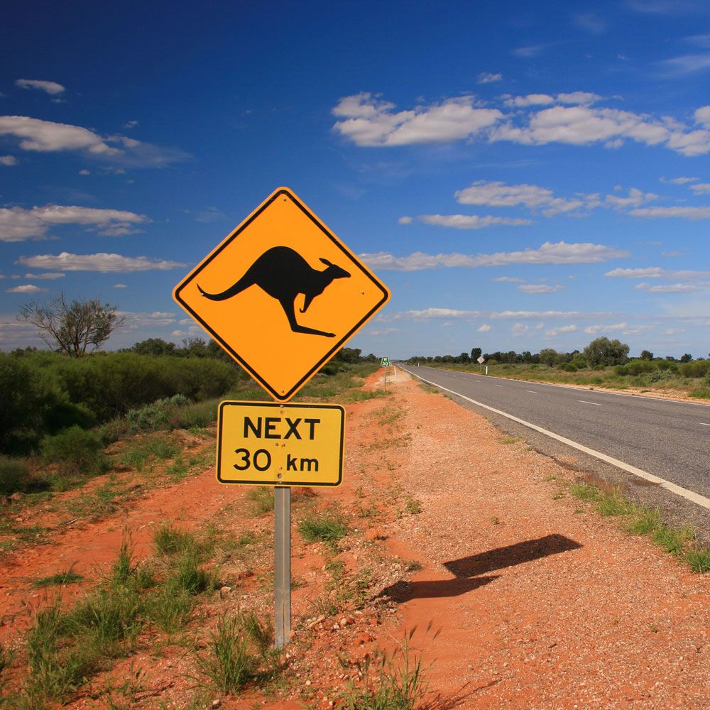 Safety Signs & Signwriting | Boulder, WA | Mister Signs