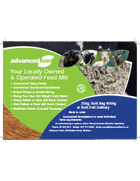 Advanced Feed - Medit Kit