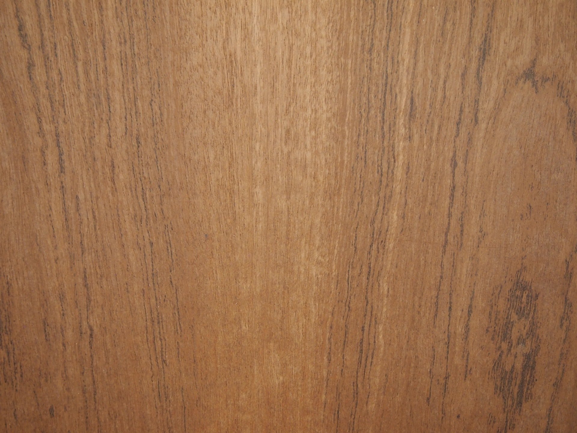 Wood Products | Premium Plywood + Specialties