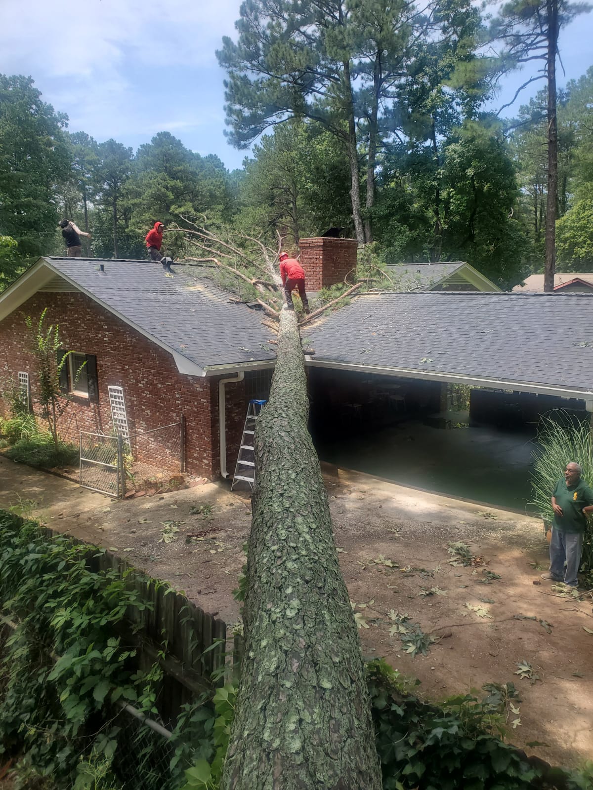Gallery | Buford, GA | Muller Tree