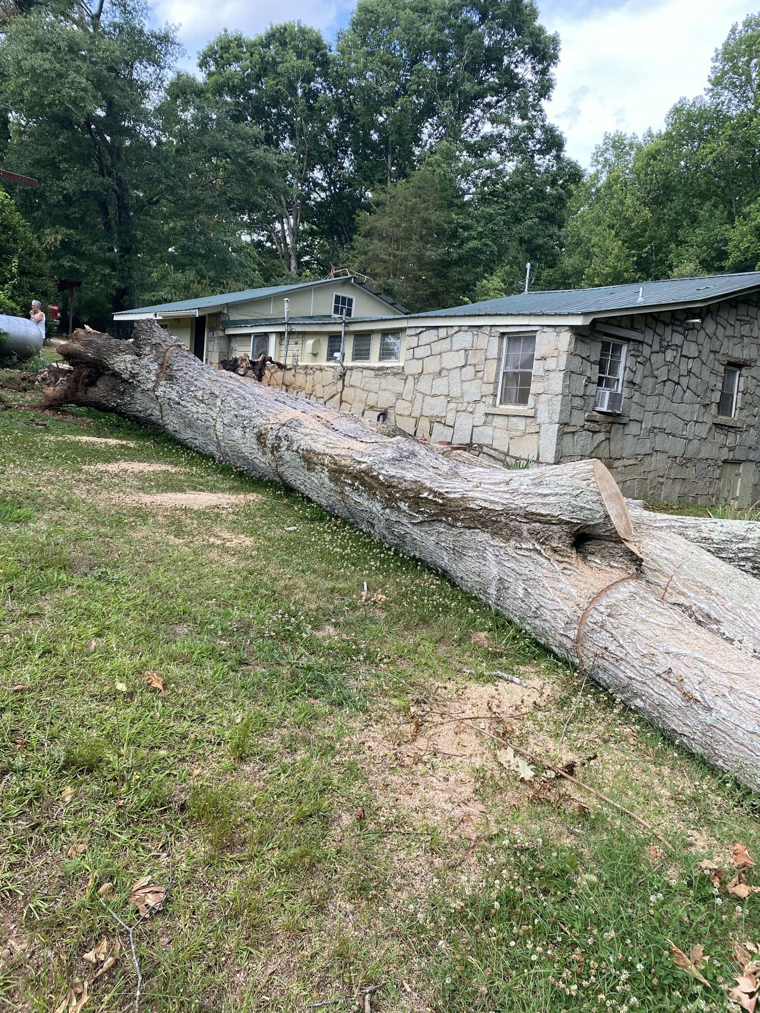 Gallery | Buford, GA | Muller Tree